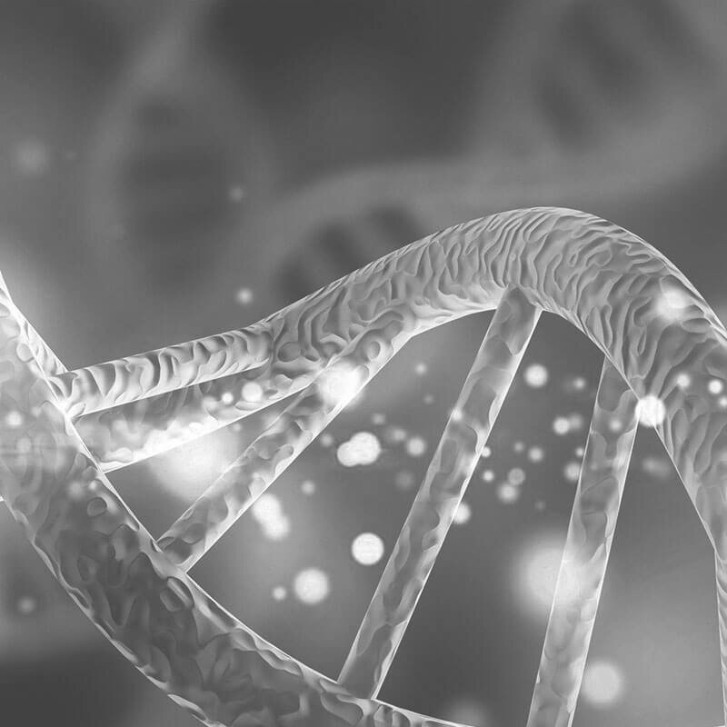 Optical Fiber and Fiber Laser Applications | Coractive